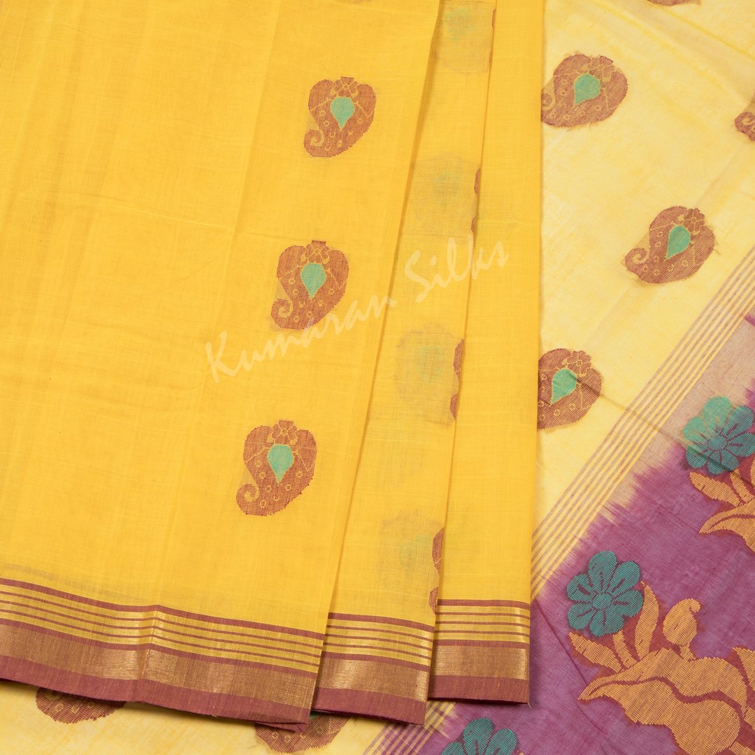 Kanchi Cotton